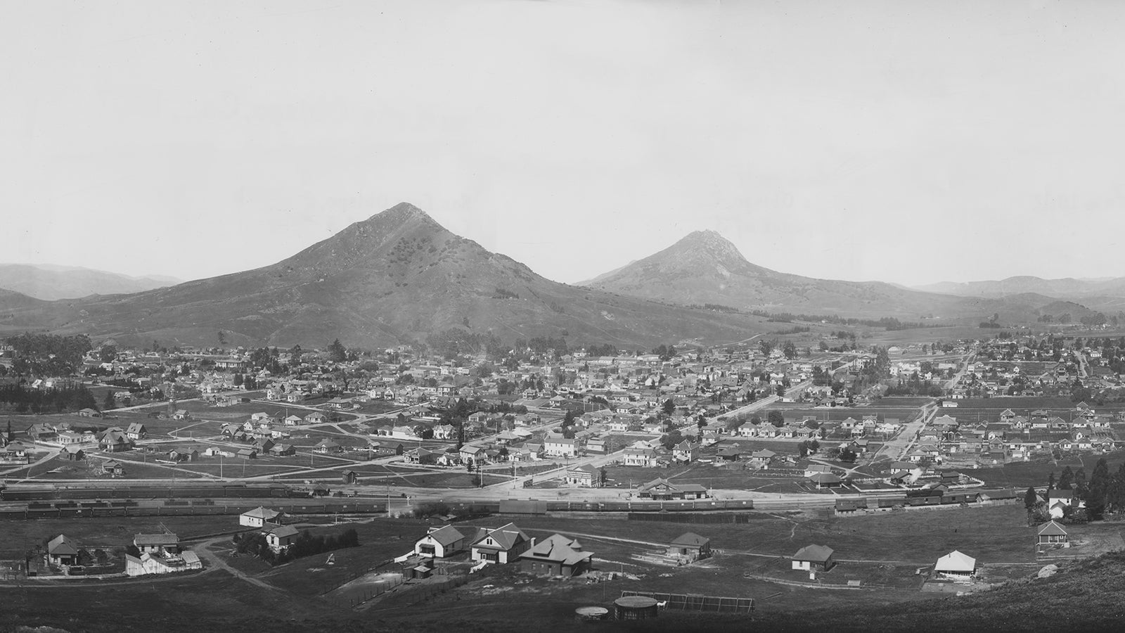 Collections | Robert E. Kennedy Library