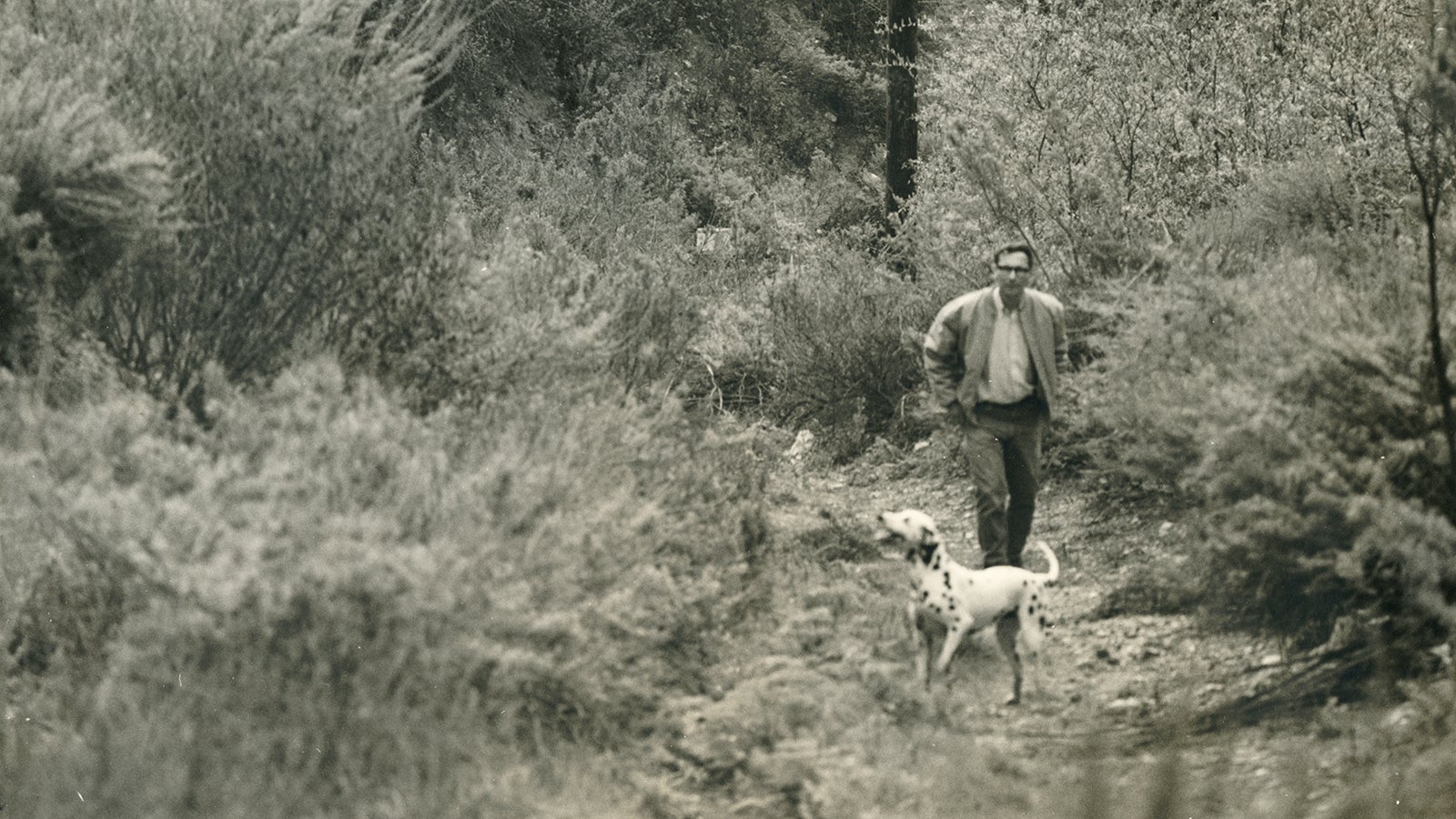 Environmental Archives | Robert E. Kennedy Library