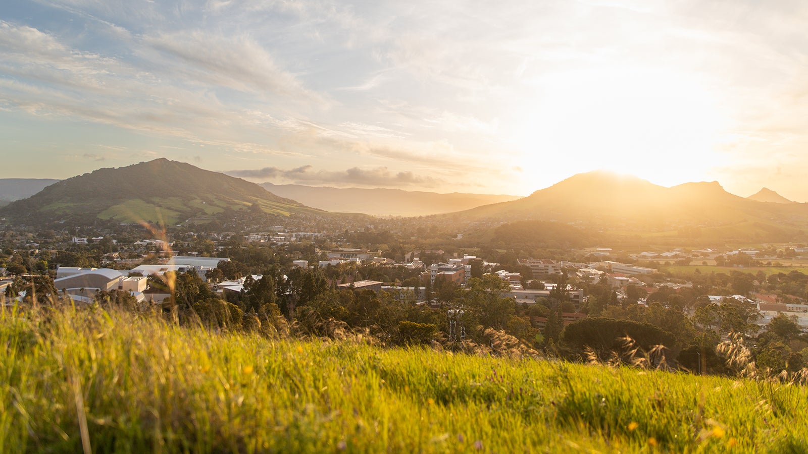 Support the Library | Robert E. Kennedy Library