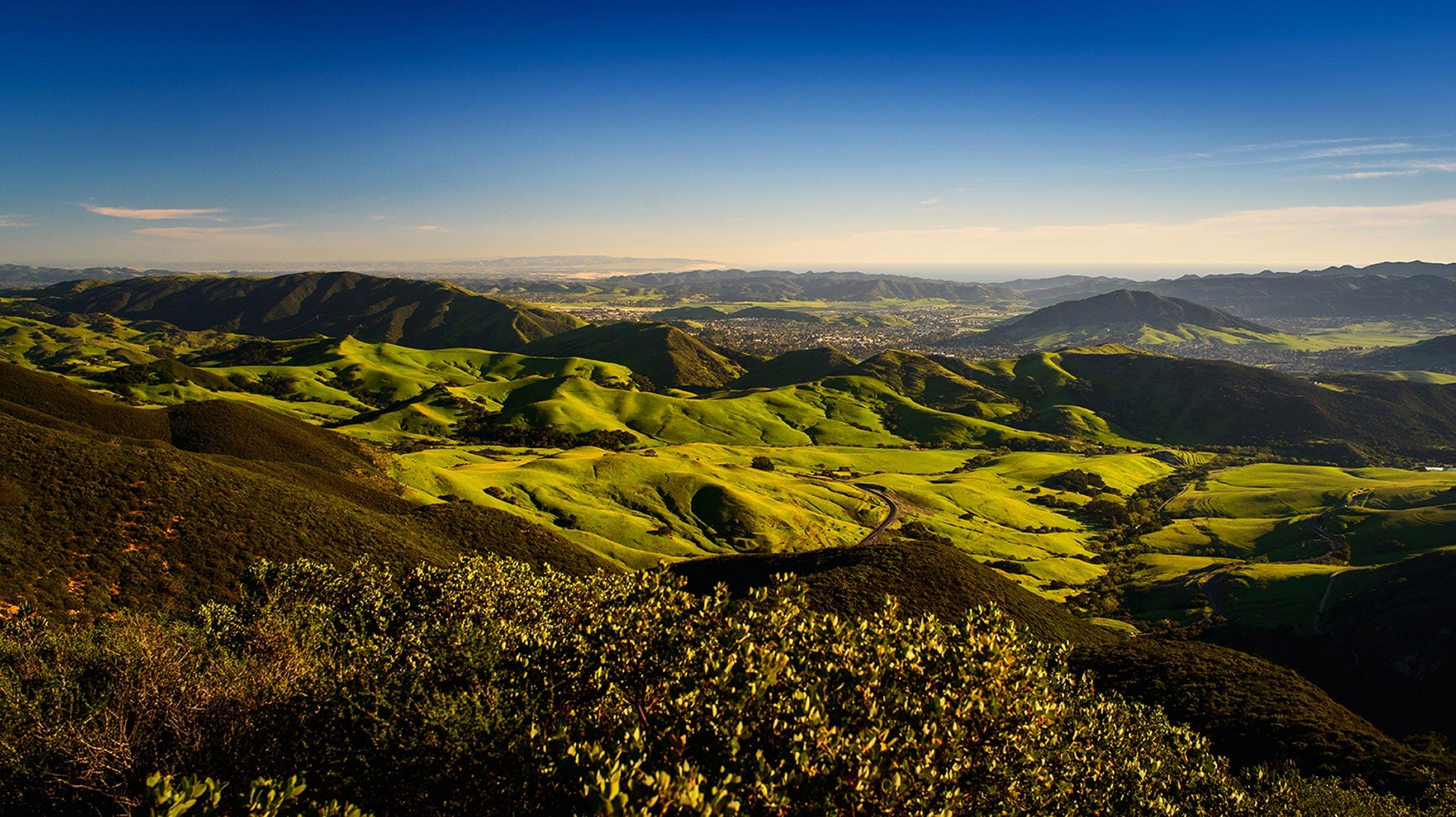 Advisory Groups | Robert E. Kennedy Library